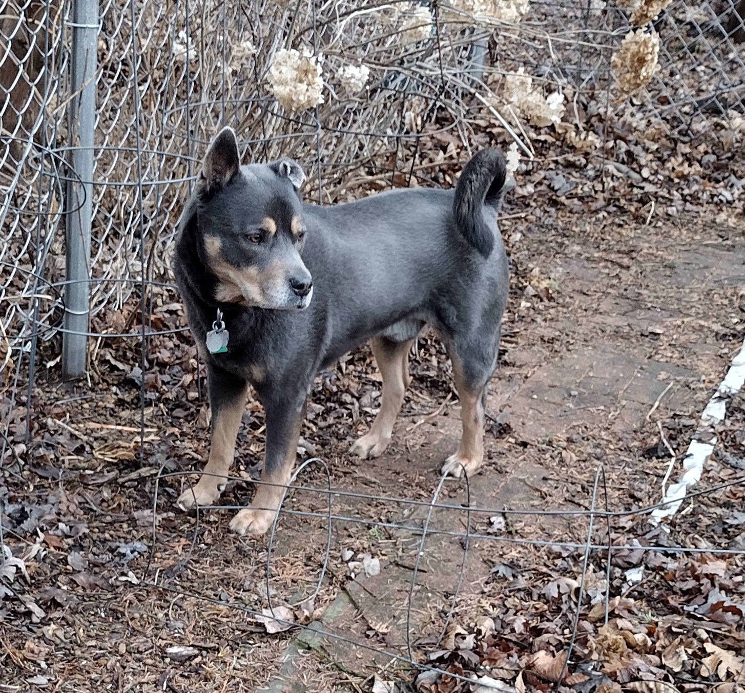 An Early Spring – Reflections